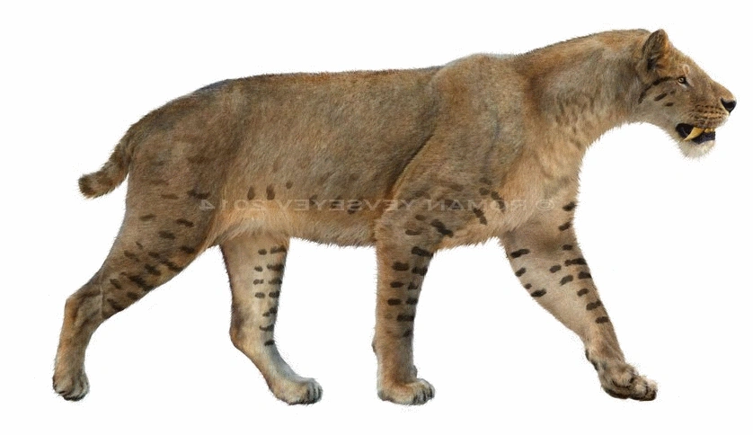 Allias | PONY.MOV Wiki | Fandom