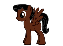 Pepper | Pony Park Wiki | Fandom