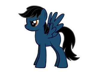 Chullo | Pony Park Wiki | Fandom