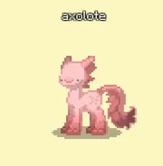 Axolotls | PonyTown Wiki | Fandom