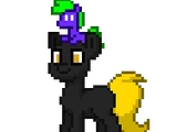Category:Items | PonyTown Wiki | Fandom