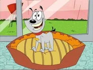 Poochini (character) | Poochini's Yard Wiki | Fandom