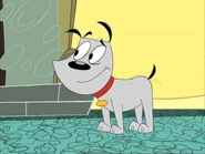 Poochini (character) | Poochini's Yard Wiki | Fandom