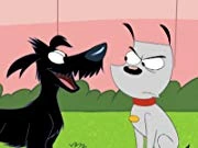 Black Terrier | Poochini's Yard Wiki | Fandom