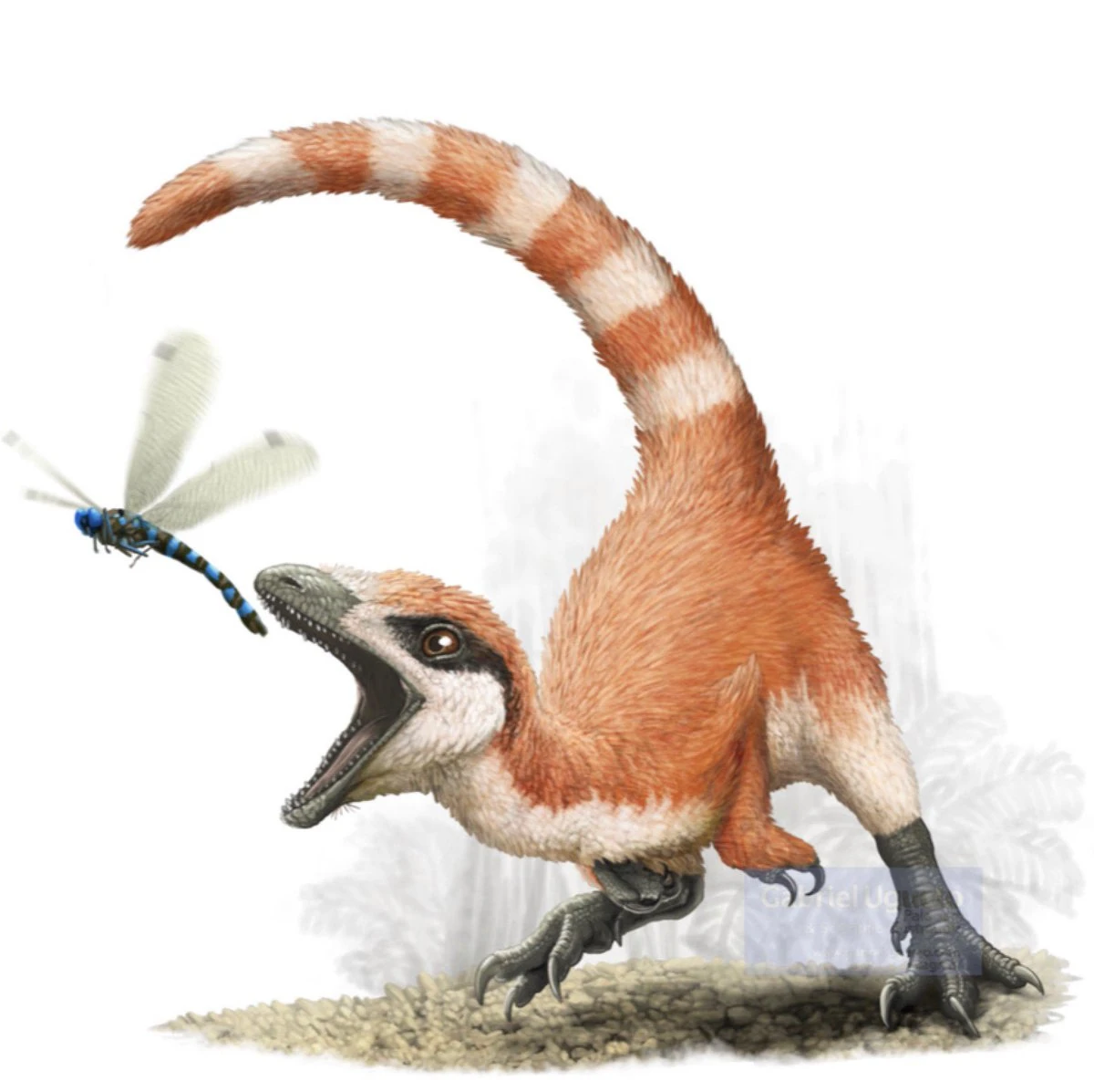 Ace | Pool Table Top Dnd Wiki | Fandom