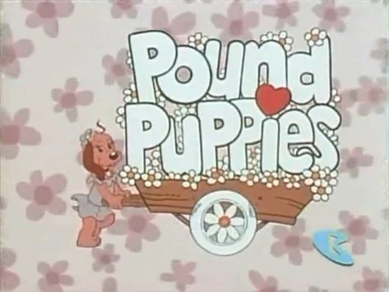 Pound Puppies (1986 TV Series) | Pop Stars Programs 1959-2024 Wiki | Fandom