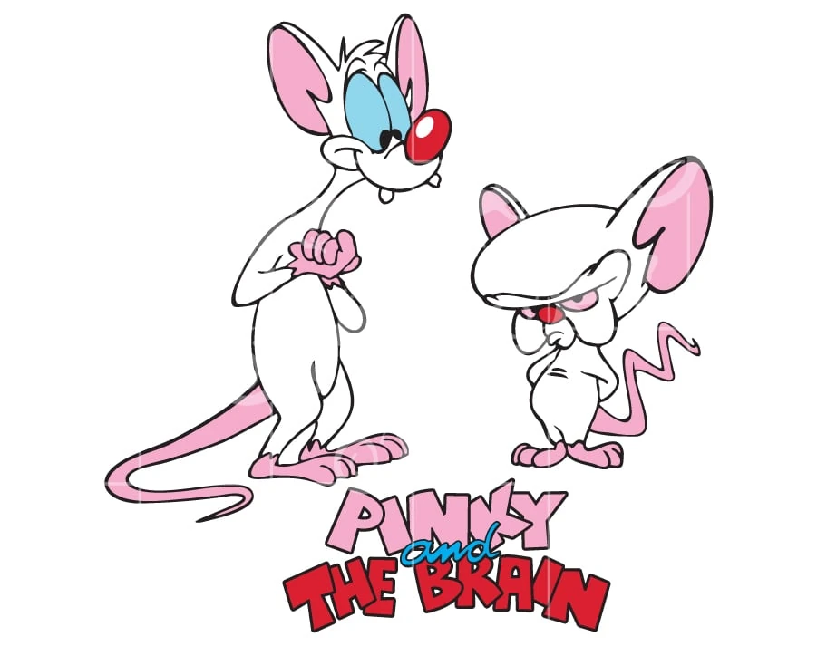 Pinky and the Brain | Pop Stars Programs 1959-2024 Wiki | Fandom