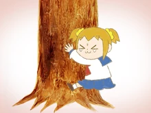 Popuko | Pop Team Epic Wiki | Fandom