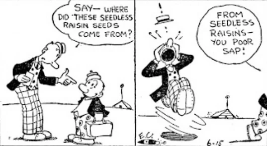 Castor Oyl | Popeye the Sailorpedia | Fandom