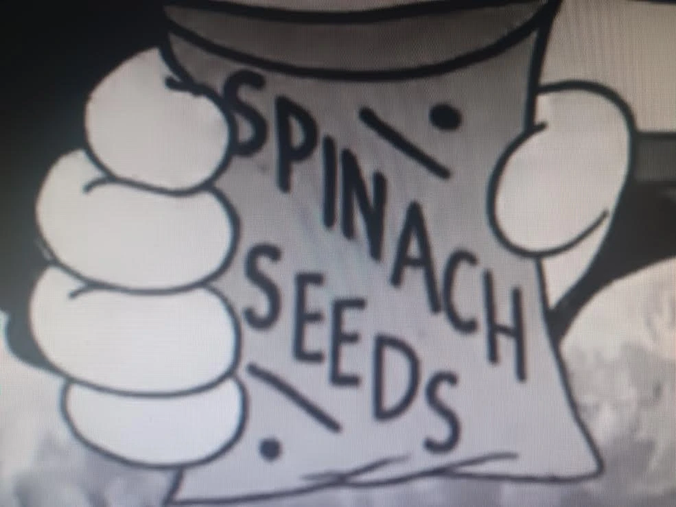 The Twisker Pitcher | Popeye the Sailorpedia | Fandom