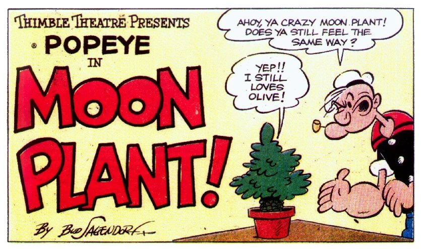 Moon Plant! | Popeye the Sailorpedia | Fandom