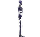 Fractured Simon | The Popgoes Pizzeria Wikia | Fandom