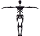 Simon (2016) | The Popgoes Pizzeria Wikia | Fandom