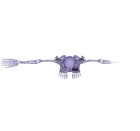 Fractured Simon | The Popgoes Pizzeria Wikia | Fandom