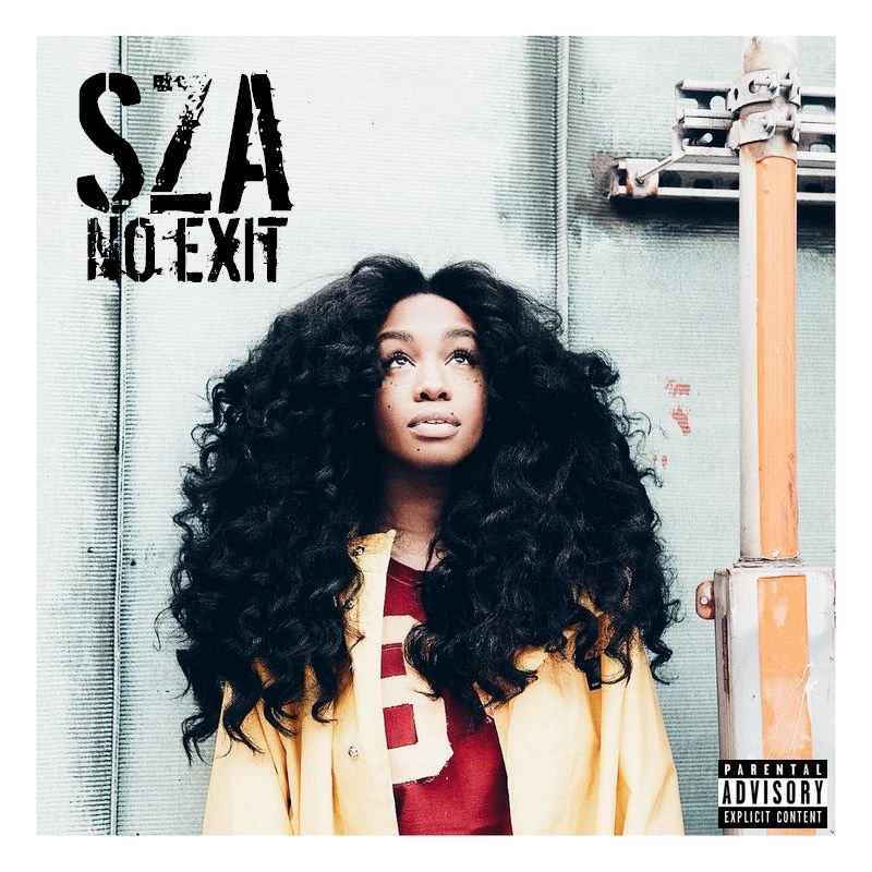 Artwork Gallery/SZA | PopIndustry Wiki | Fandom