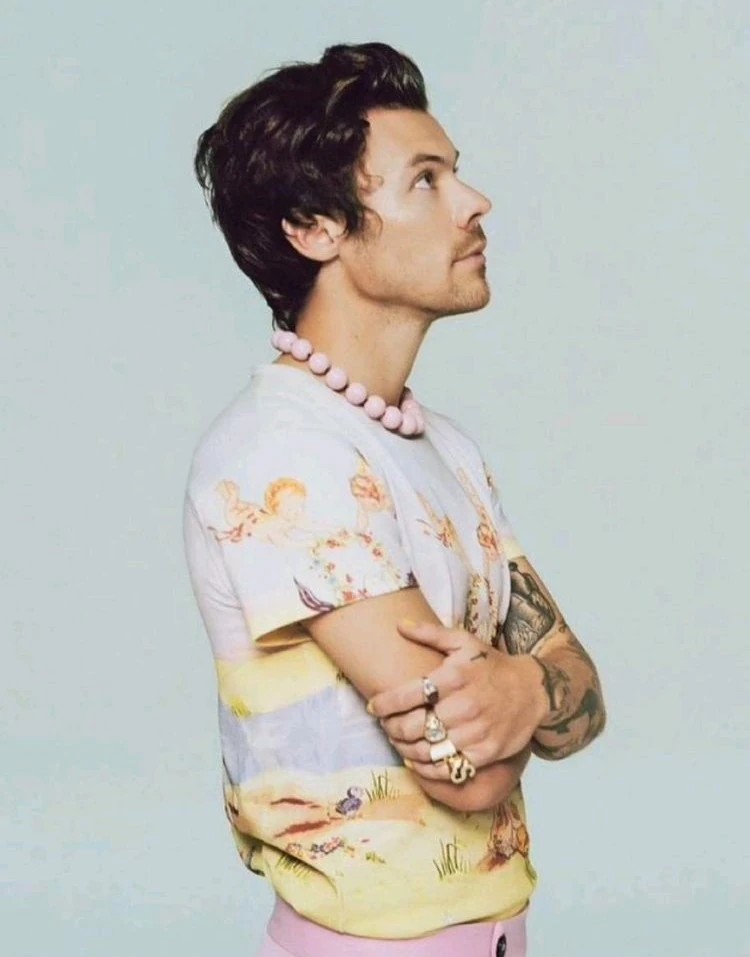 Harry Styles | PopIndustry Wiki | Fandom