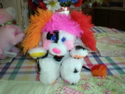 Popples Wiki | Fandom
