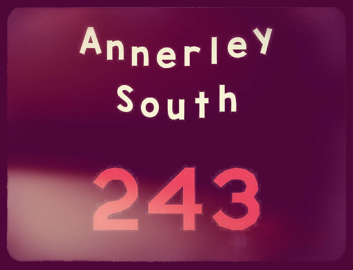 243 | Poppy and Winnie Wiki | Fandom