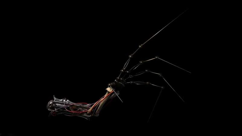 Prototype | Poppy Playtime вики | Fandom