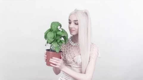 Merry Christmas Plant | Poppy Wiki | Fandom