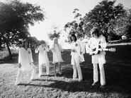 X | Poppy Wiki | Fandom