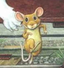 Ragweed | Poppy Books Wiki | Fandom