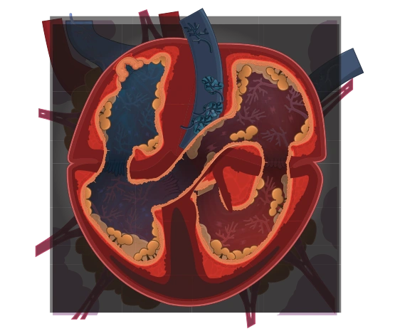 Joe Stockman's Heart | Poptropica Wiki | Fandom