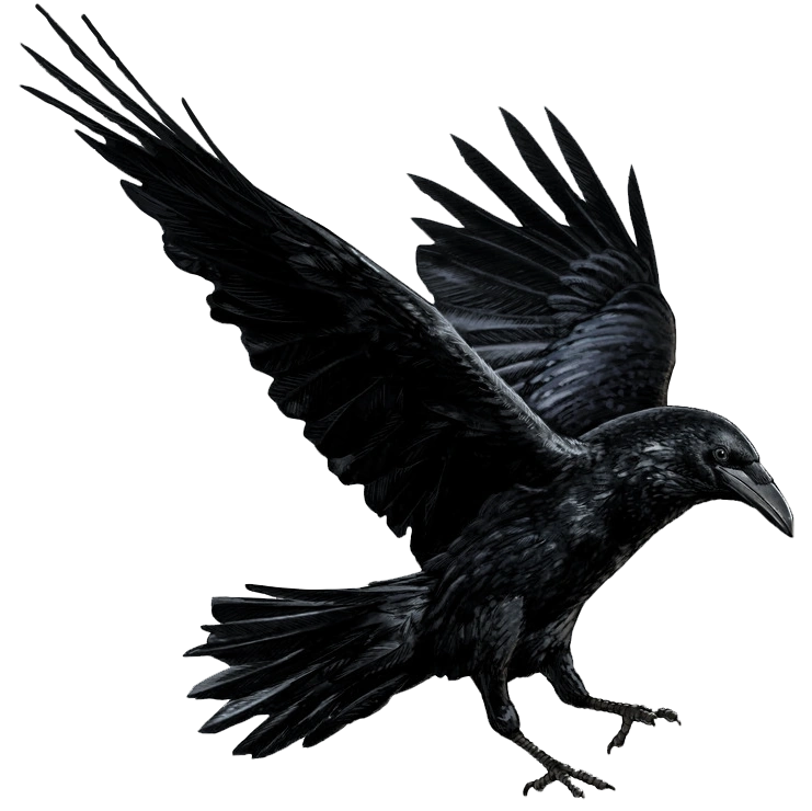 Draven Fedorov Seti Raven | Portal Future Wiki | Fandom