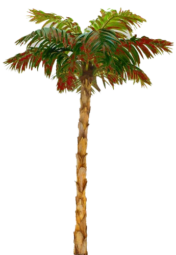 Miranda Plants | Portal Future Wiki | Fandom