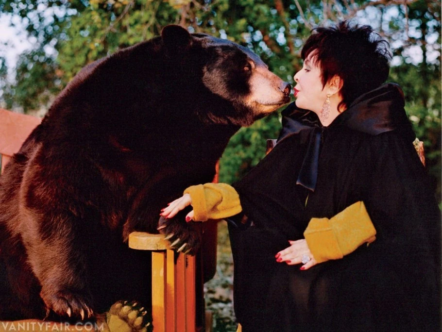 Bonkers | Portrayal Wiki | Fandom