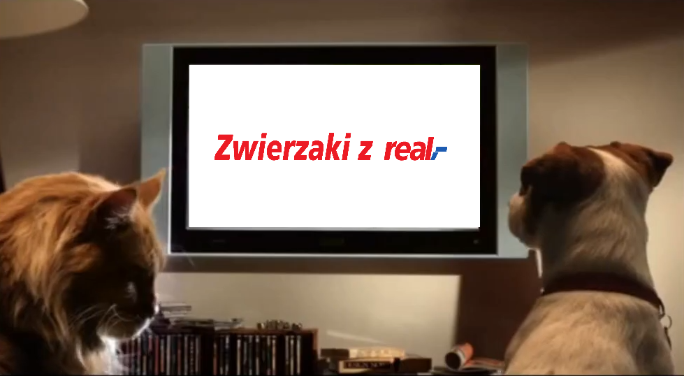 Zwierzaki z Real | Postacie z reklam Wiki | Fandom Zwierzaki z Real | Postacie z reklam Wiki | Fandom