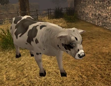 Cows | Postal Wiki | Fandom