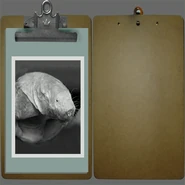 Photo (Corkscrew RuLes) | Postal Wiki | Fandom