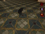 Cats | Postal Wiki | Fandom