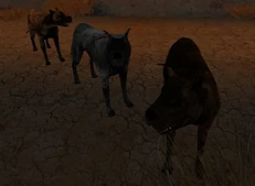 Dogs | Postal Wiki | Fandom