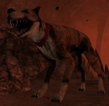 Champ | Postal Wiki | Fandom