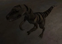 Velociraptors | Postal Wiki | Fandom