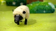 Sheep | Postman Pat Wiki | Fandom