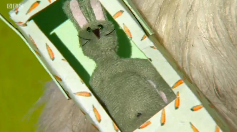 Green Rabbit (episode) | Postman Pat Wiki | Fandom