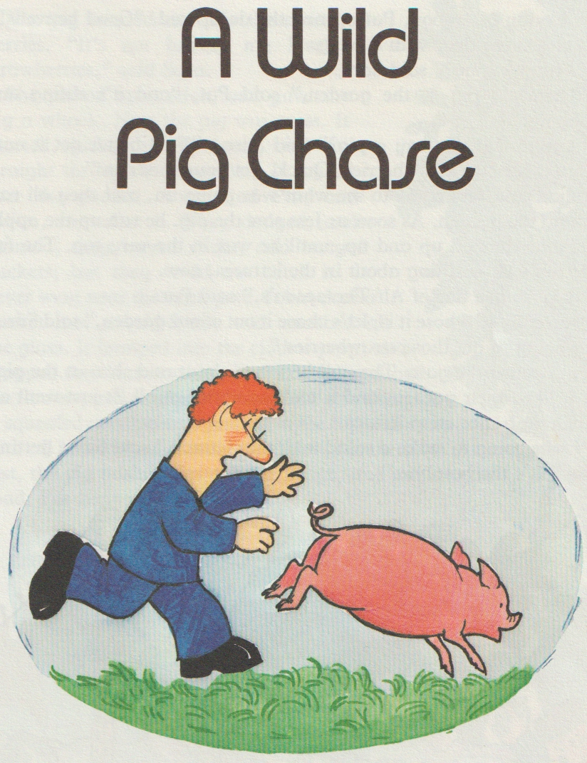 A Wild Pig Chase | Postman Pat Wiki | Fandom