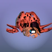 Nightmare Classic Foxy The Pirate | Post-Shift Wiki | Fandom