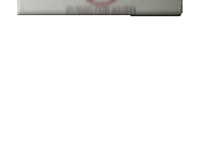 Mini Foxy | Post-Shift Wiki | Fandom