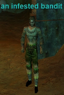 NPC: An Infested Bandit | PotatoEQ Wiki | Fandom