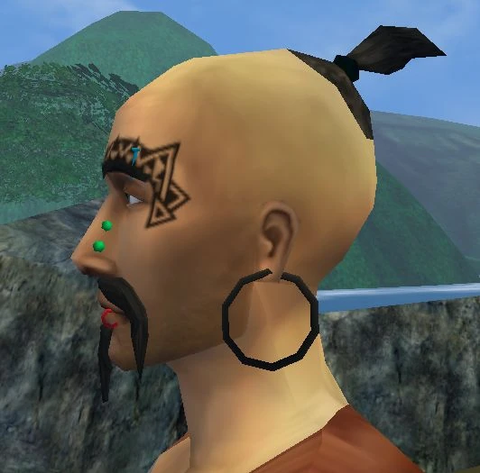 Odin The Wanderer | POTCO Players Wiki | Fandom