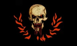 The Black Curse flag | POTCO Players Wiki | Fandom
