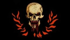 The Black Curse flag | POTCO Players Wiki | Fandom