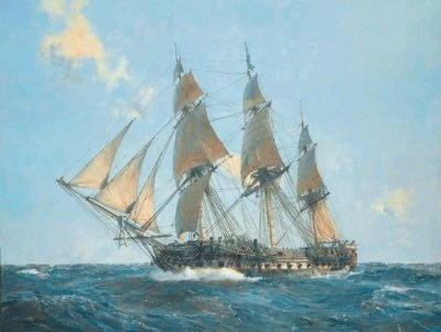 HMS Torren | POTCO Players Wiki | Fandom