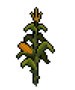 Corn | Potion Permit Wiki | Fandom