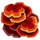 Dragon Oasis | Potionomics Wiki | Fandom