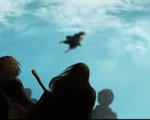 Flying Lesson | Pottermore Wiki | Fandom